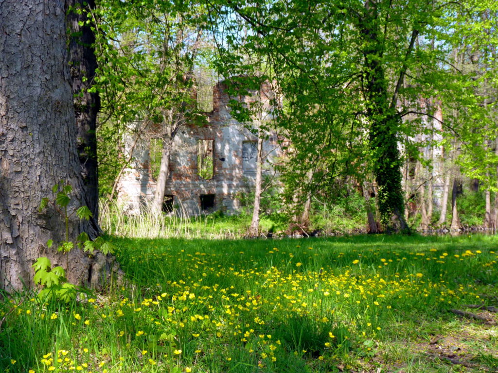 LUBUSKIE ŁAZIENKI – MIROCIN GÓRNY I JEGO PAŁAC NA WODZIE.