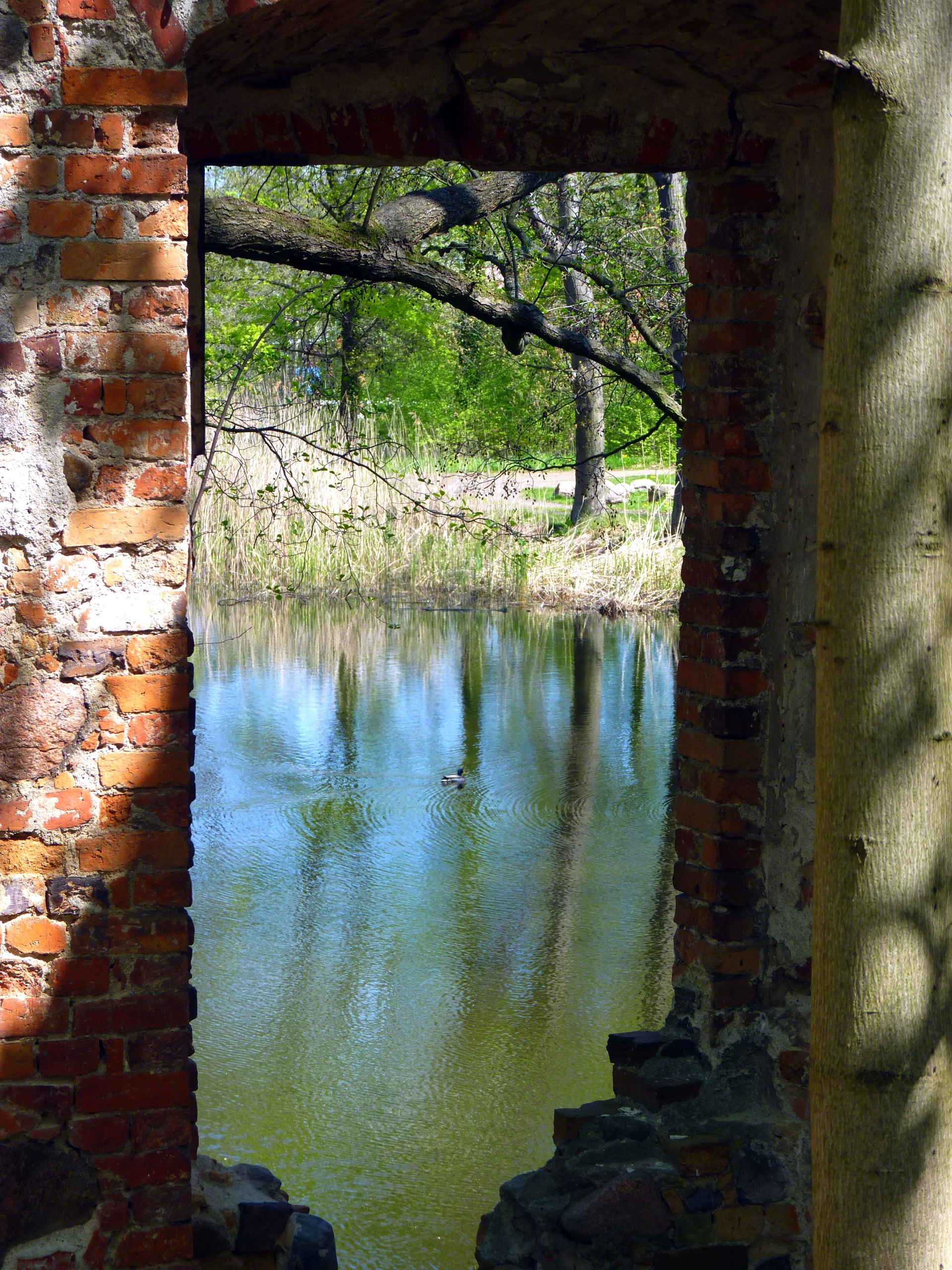 LUBUSKIE ŁAZIENKI – MIROCIN GÓRNY I JEGO PAŁAC NA WODZIE.