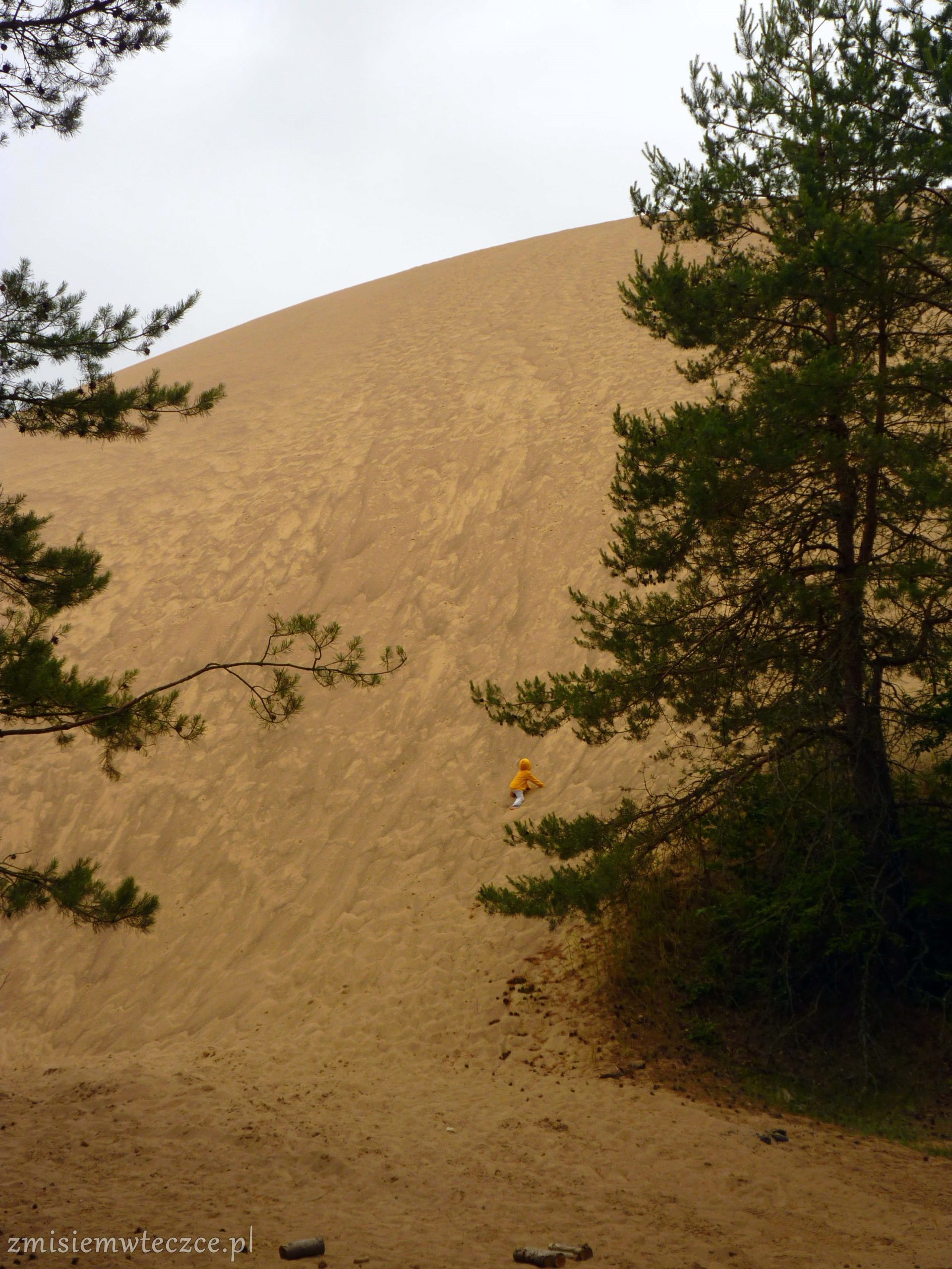 GIGANTYCZNA POMORSKA GÓRA PIACHU! - KASZUBY-TRIP